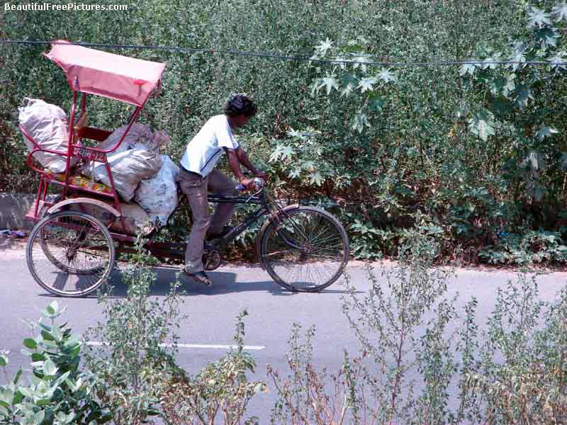 Beautiful Free Pictures - good quality photos of rickshaw